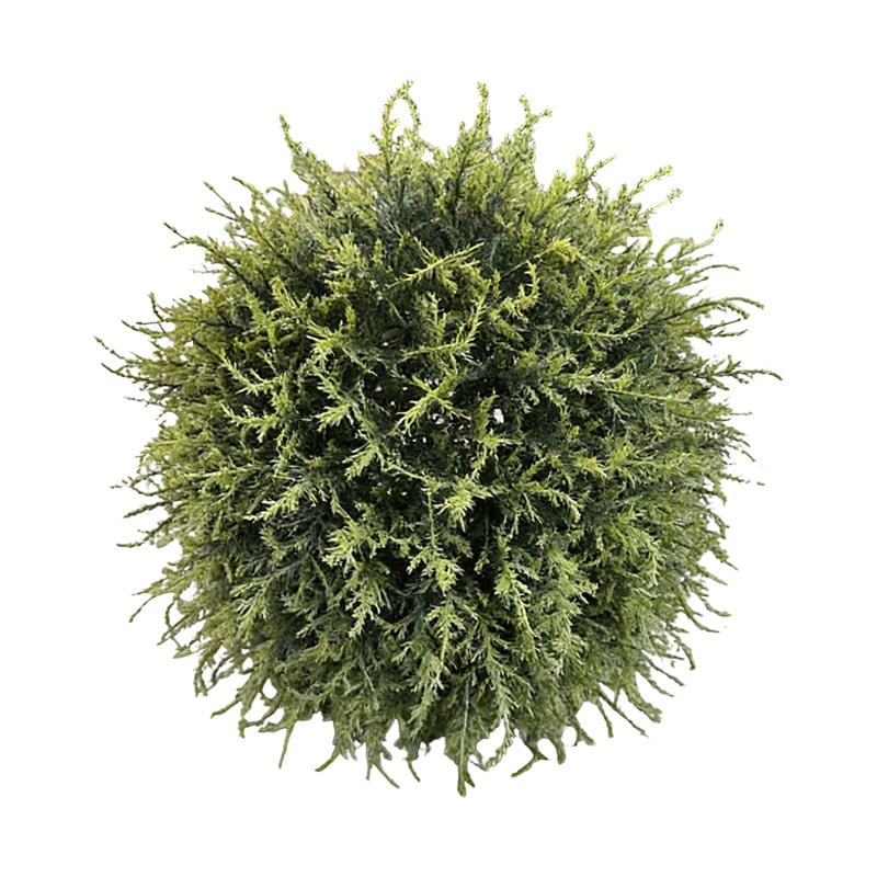 Simulated Dark Green Peanut Grass Ball, Artificial Evergreen Topiary ...
