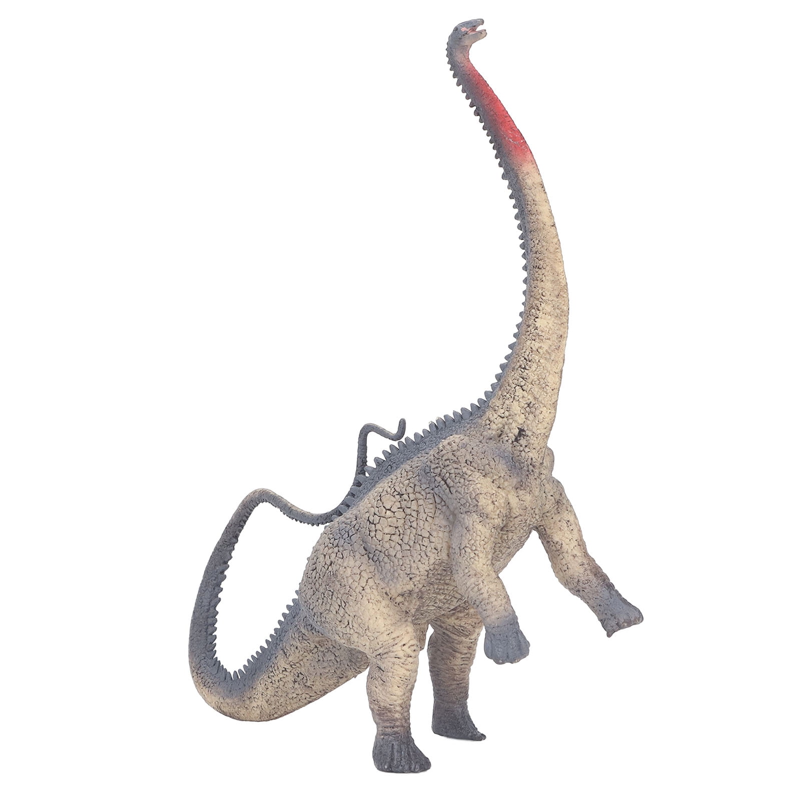 Simulated Diplodocus Model Figure Desktop Static Dinosaur Figurine Toy ...