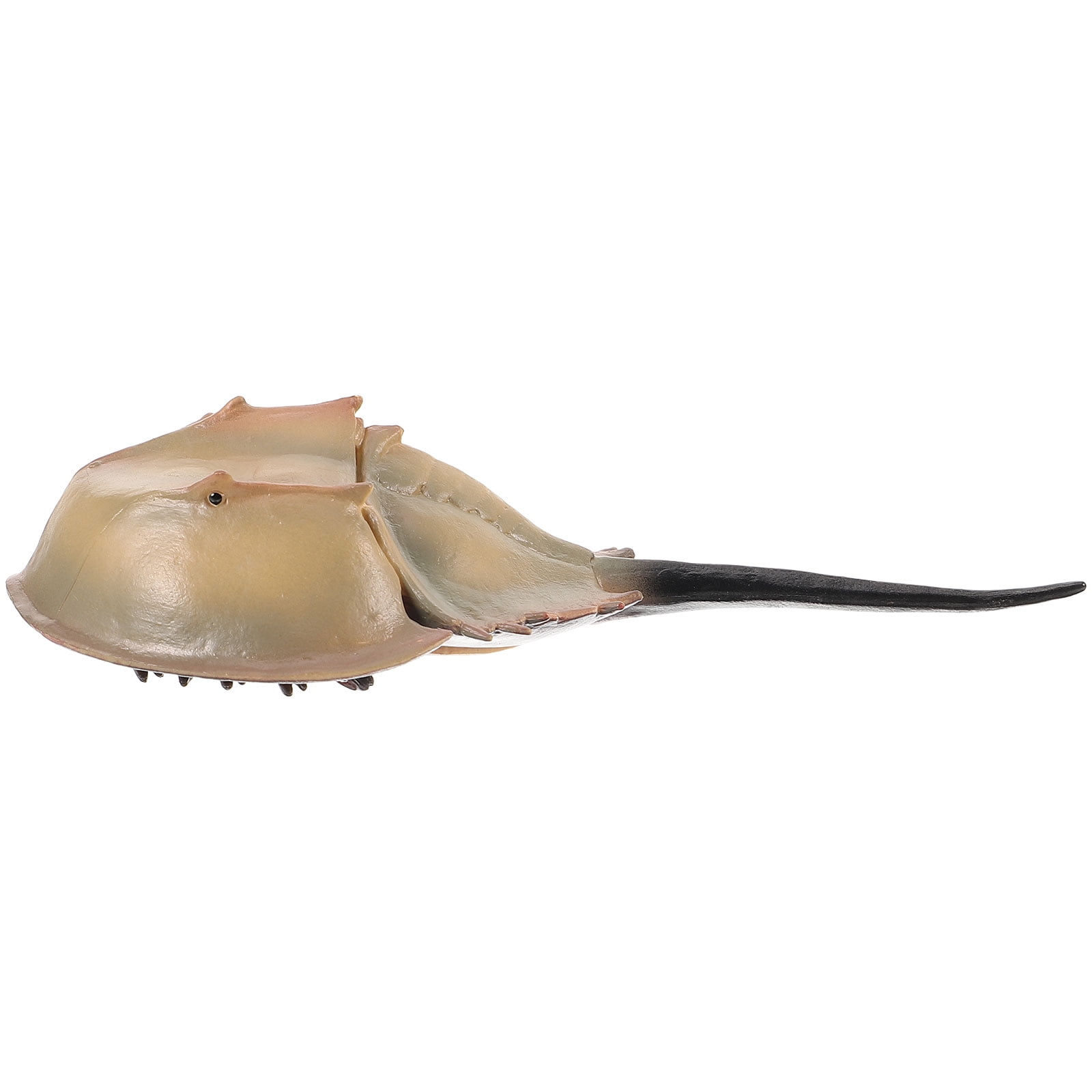 FRCOLOR Lifelike PVC Decorative Fish Horseshoe Crab for Home Aquarium ...