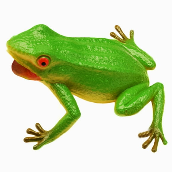 Realistic Frog
