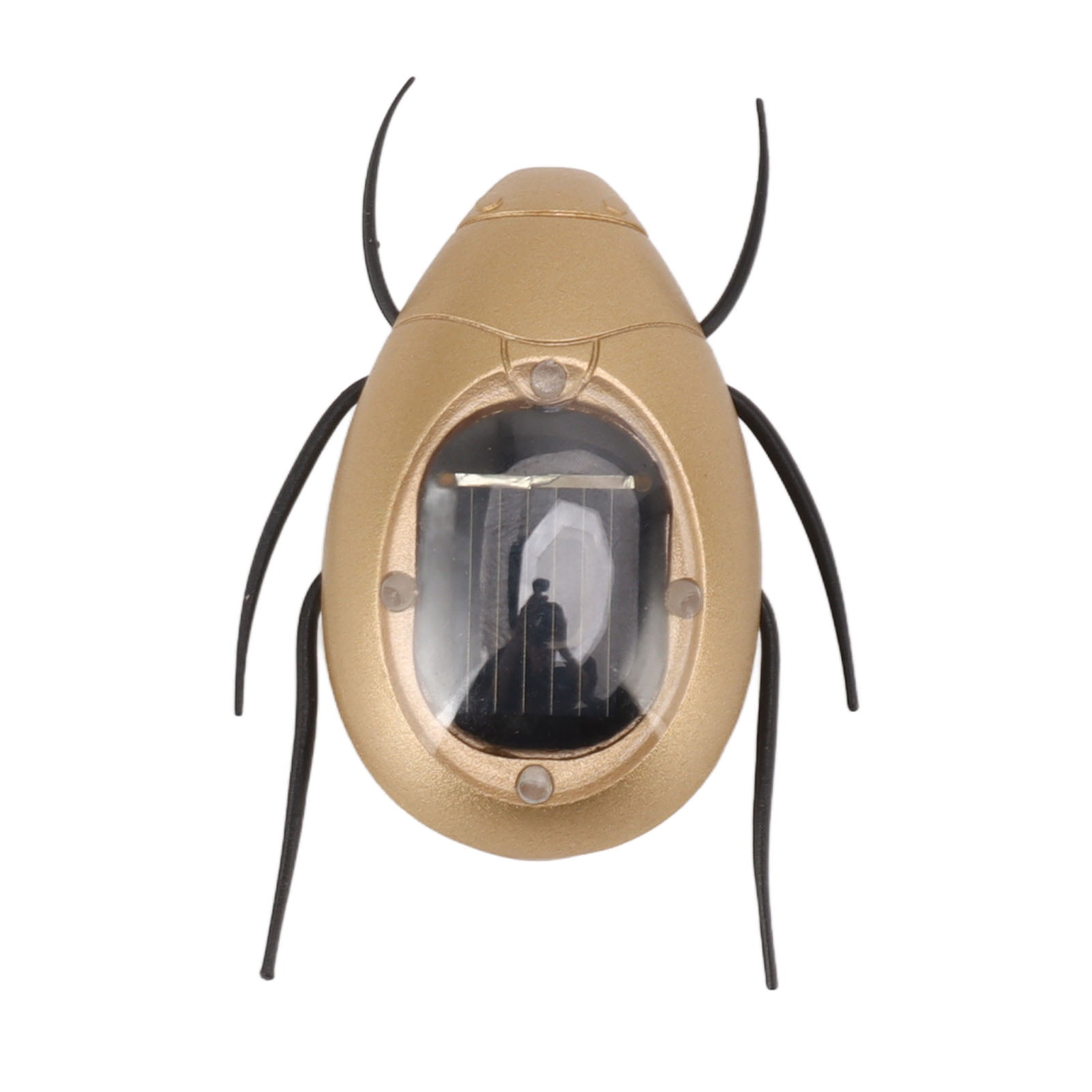 Simulated Insect Model Solar Powered Learning Educational Lifelike