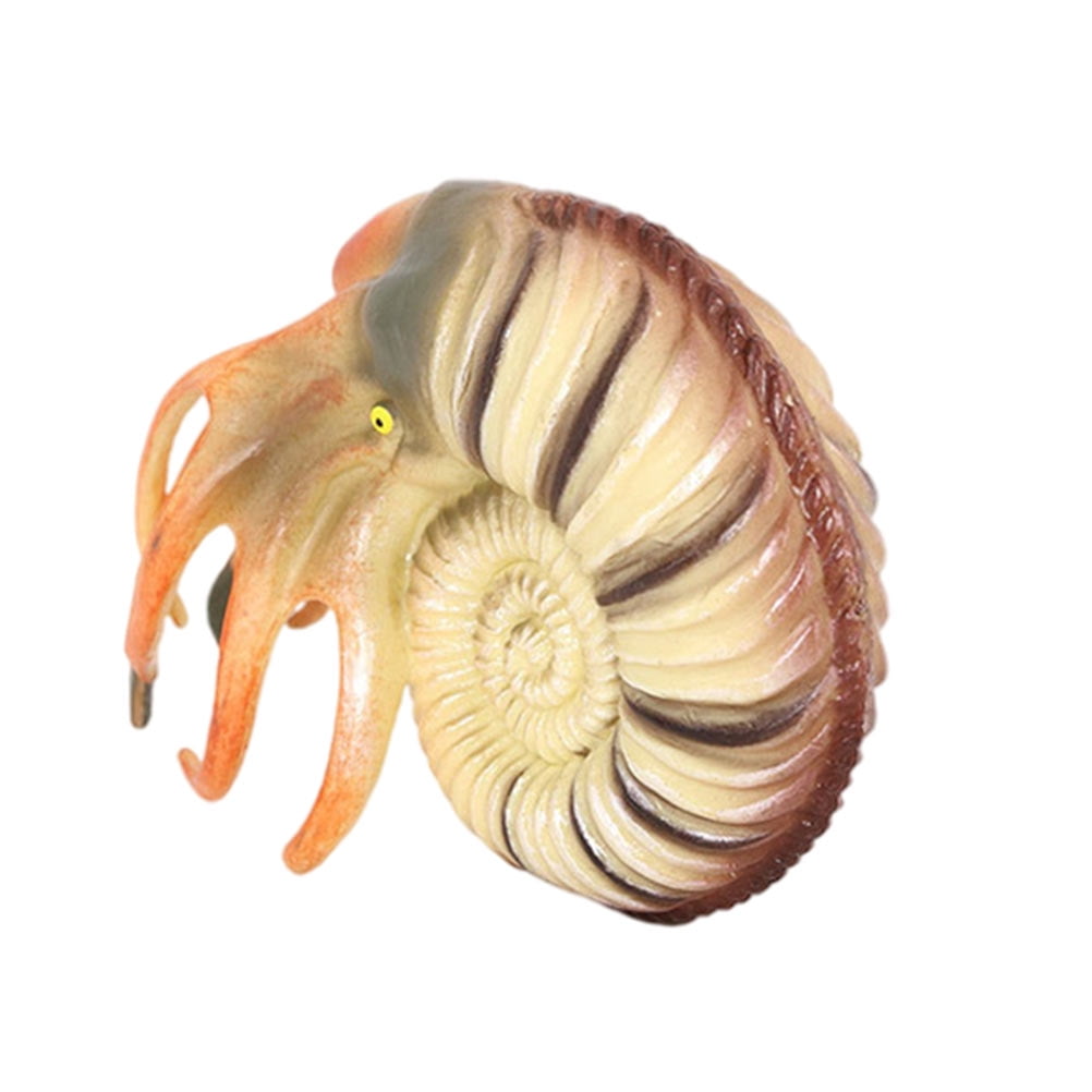 Simulated Marine Animal Model Lifelike Nautilus Model Marine Animals ...