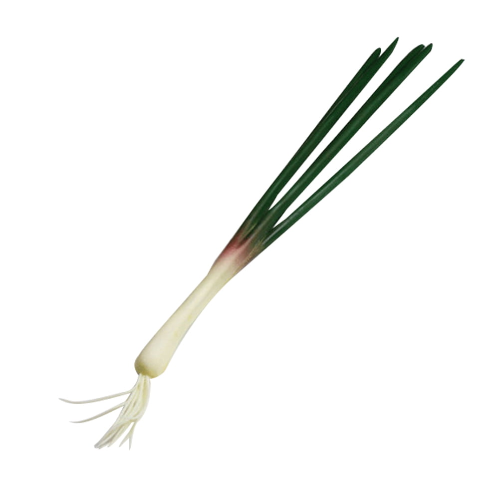 Simulated Onion Model Simulation Vegetable Models Realistic Fake ...