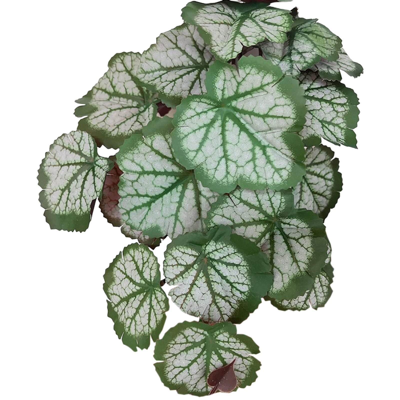 Simulated Plant Fine Workmanship Decorative Realistic Full of Vitality ...