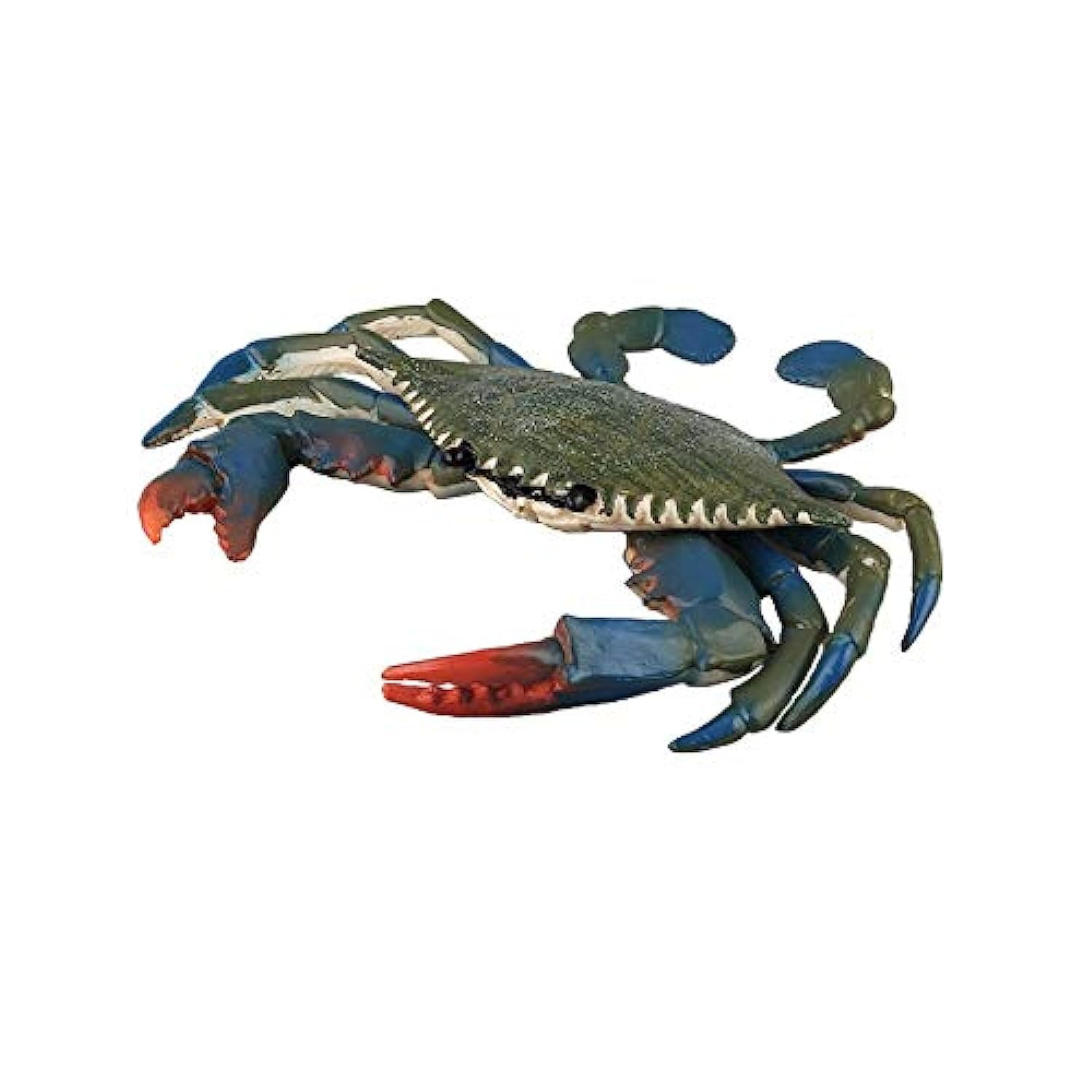 Simulated Sea Life Animals Figurines Realistic Sea Creature Model ...