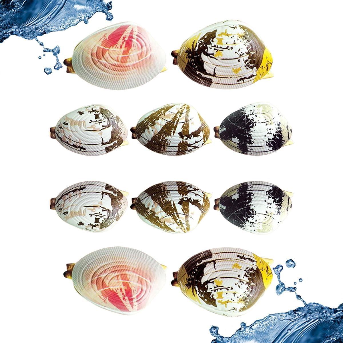 Simulated Shell Water Spray Toy,Simulated Clam Water Sprinkler Spray ...