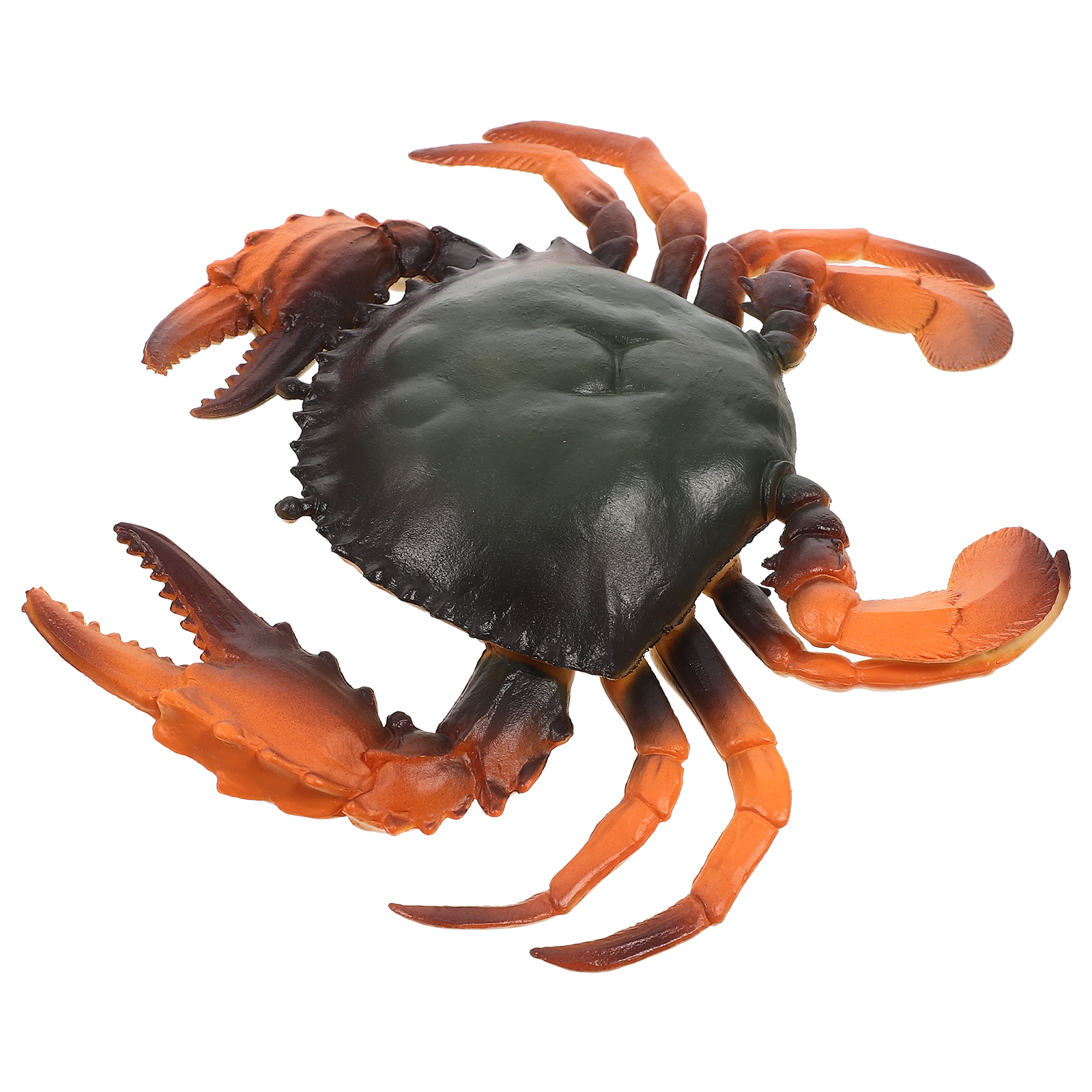 Simulated Simulation Crab Animal Educational Prop Model Ocean Children ...