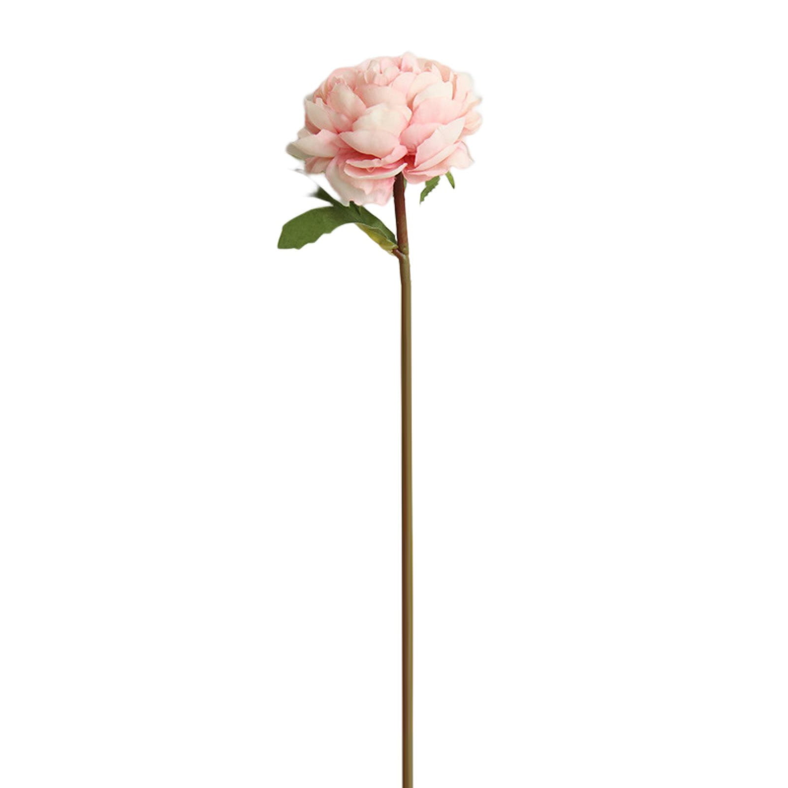Simulated Tea Rose Not Wither Non-fading No Watering Weather-resistant ...