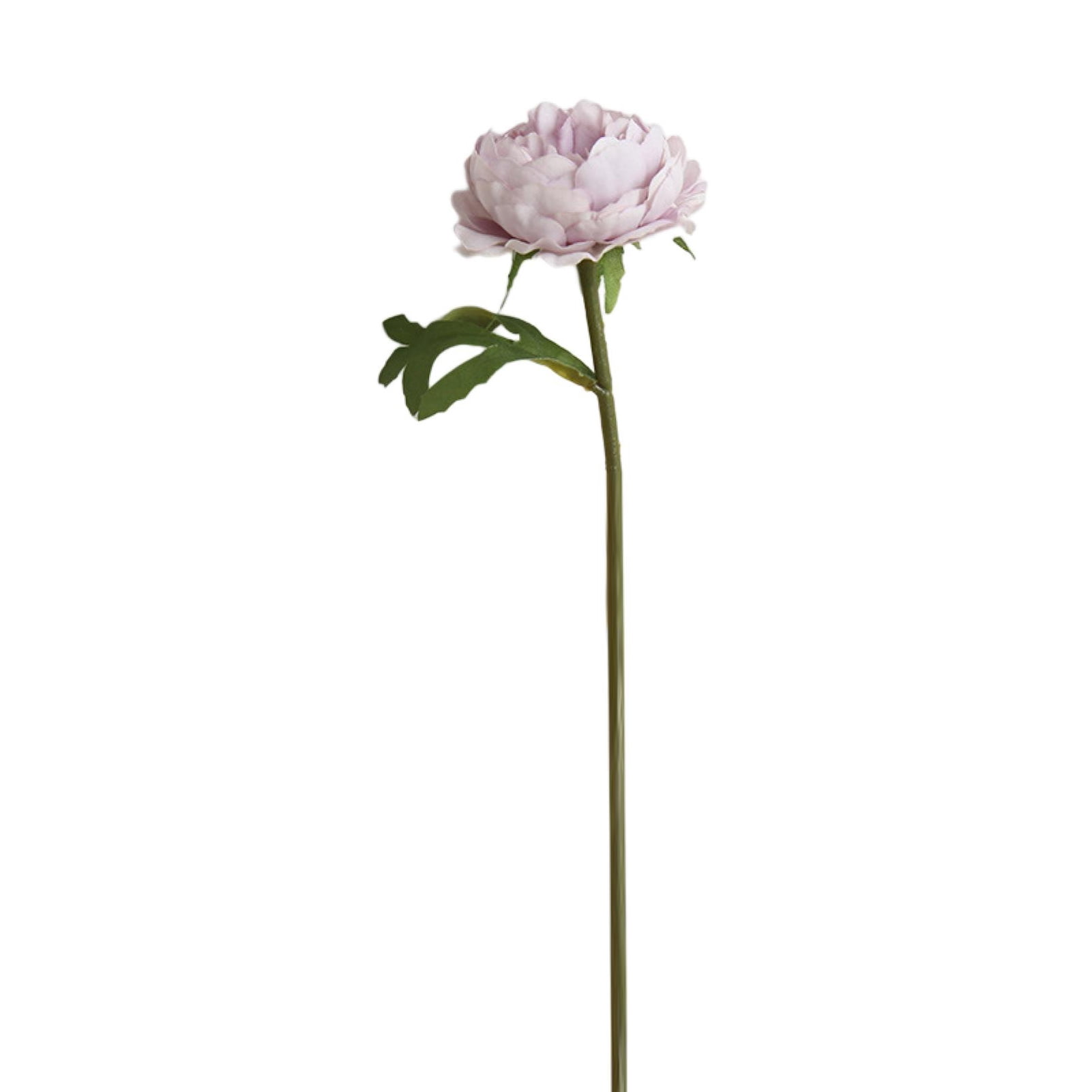 Simulated Tea Rose Not Wither Non-fading No Watering Weather-resistant ...