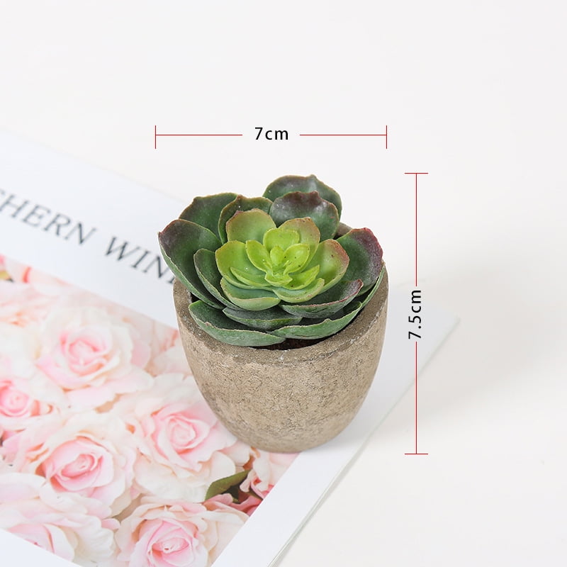 Simulated fleshy pulp potted plants can produce as required.-Thin ...