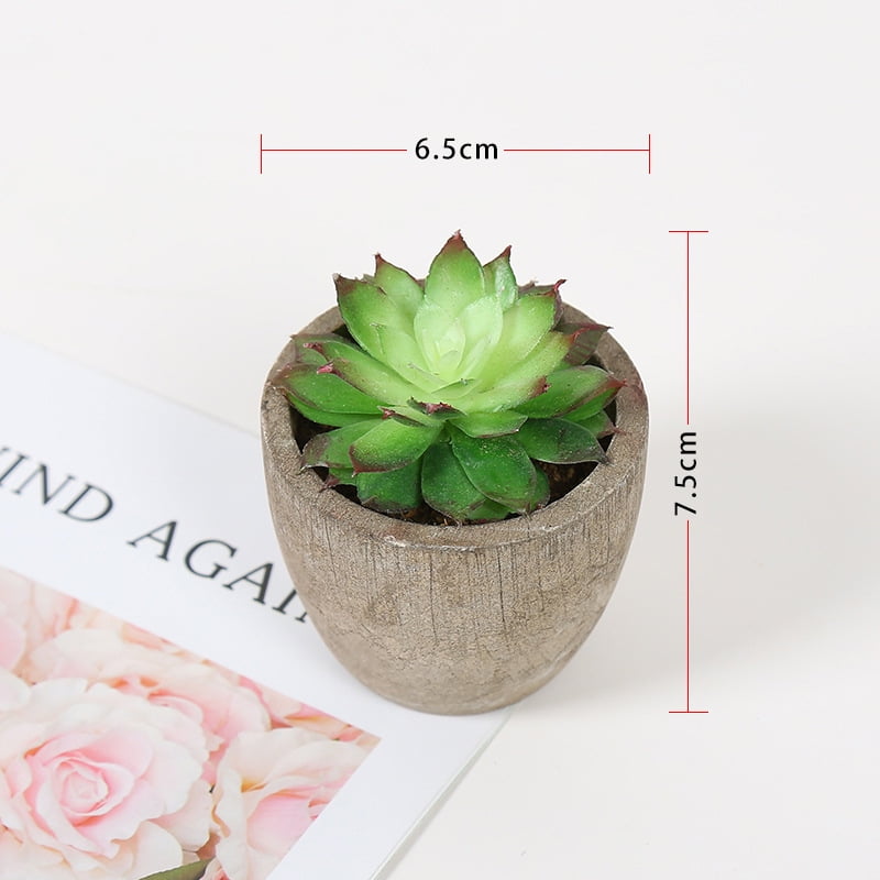 Simulated fleshy pulp potted plants can produce as required.-style1 ...