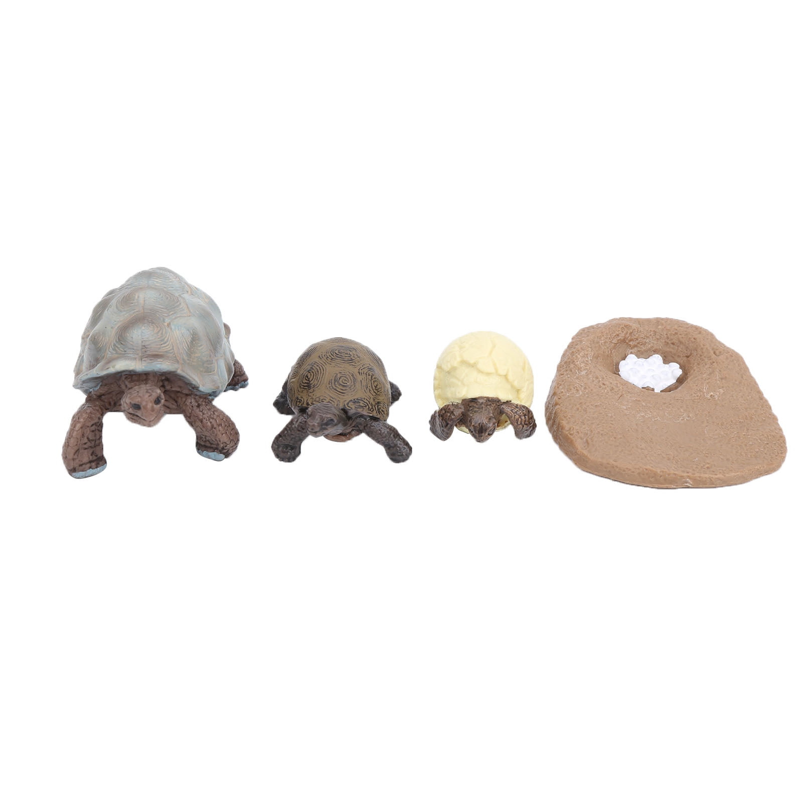 Simulation Animal Model Sea Life Animals Life Cycle Cognitive Model Kid ...