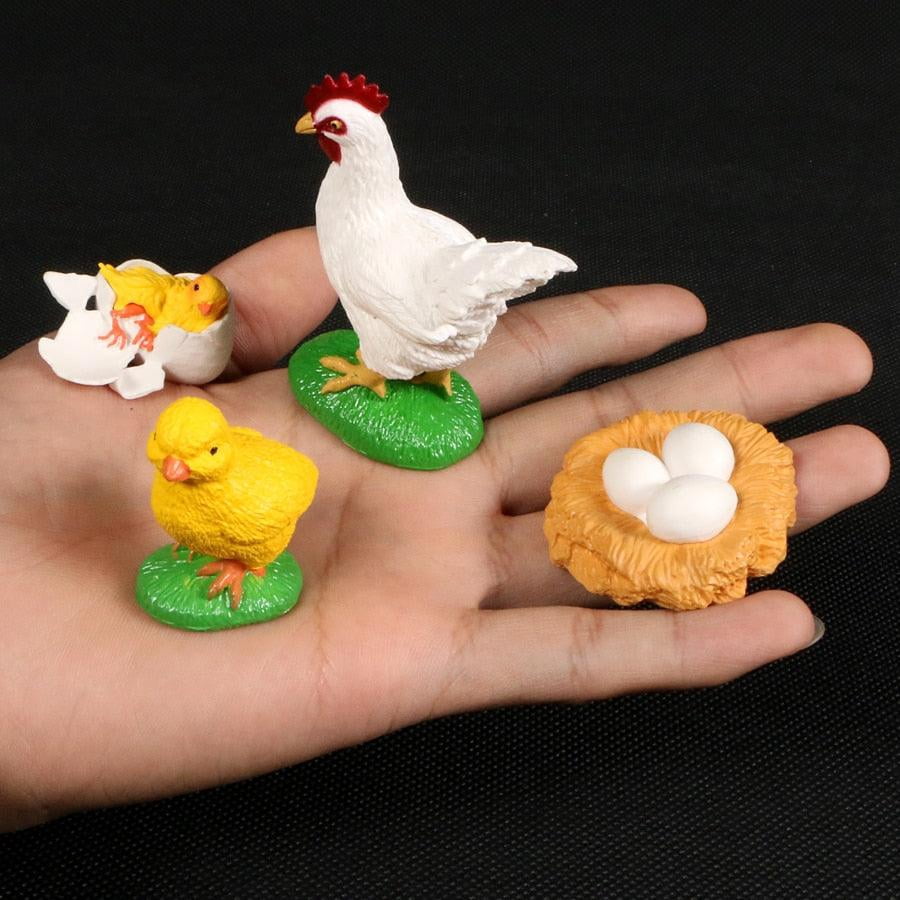 Simulation Animals Growth Cycle Butterfly,Ladybug,Chicken Life Cycle ...