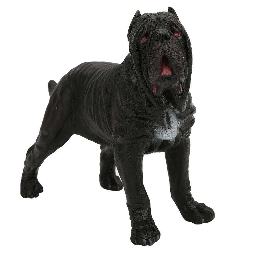 Miniature Mastiff