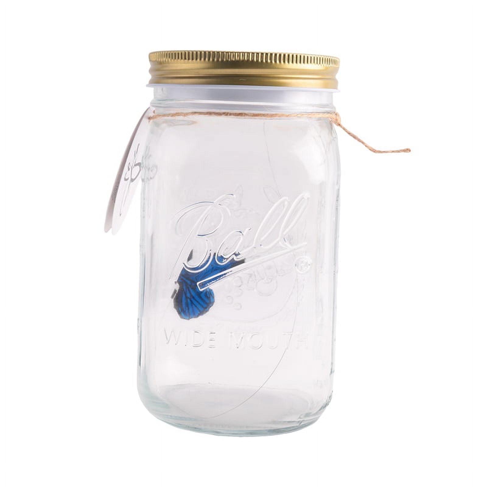 Simulation Butterfly Collection in a Jar, Butterfly Jar That Moves, LED ...