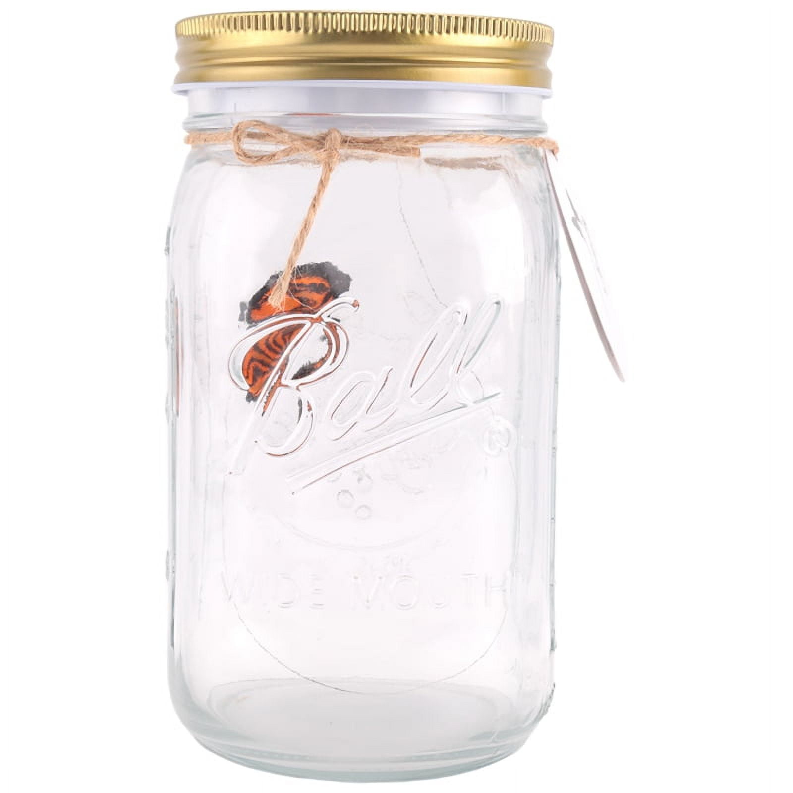 Simulation Butterfly Collection in a Jar, Butterfly Jar That Moves, LED ...