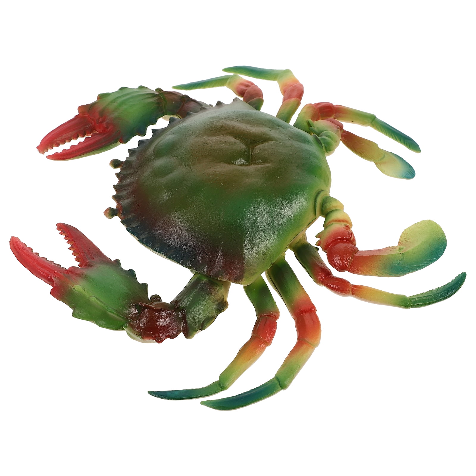 Simulation Crab Model Cognitive Skill Strengthening Toy Child - Walmart.com