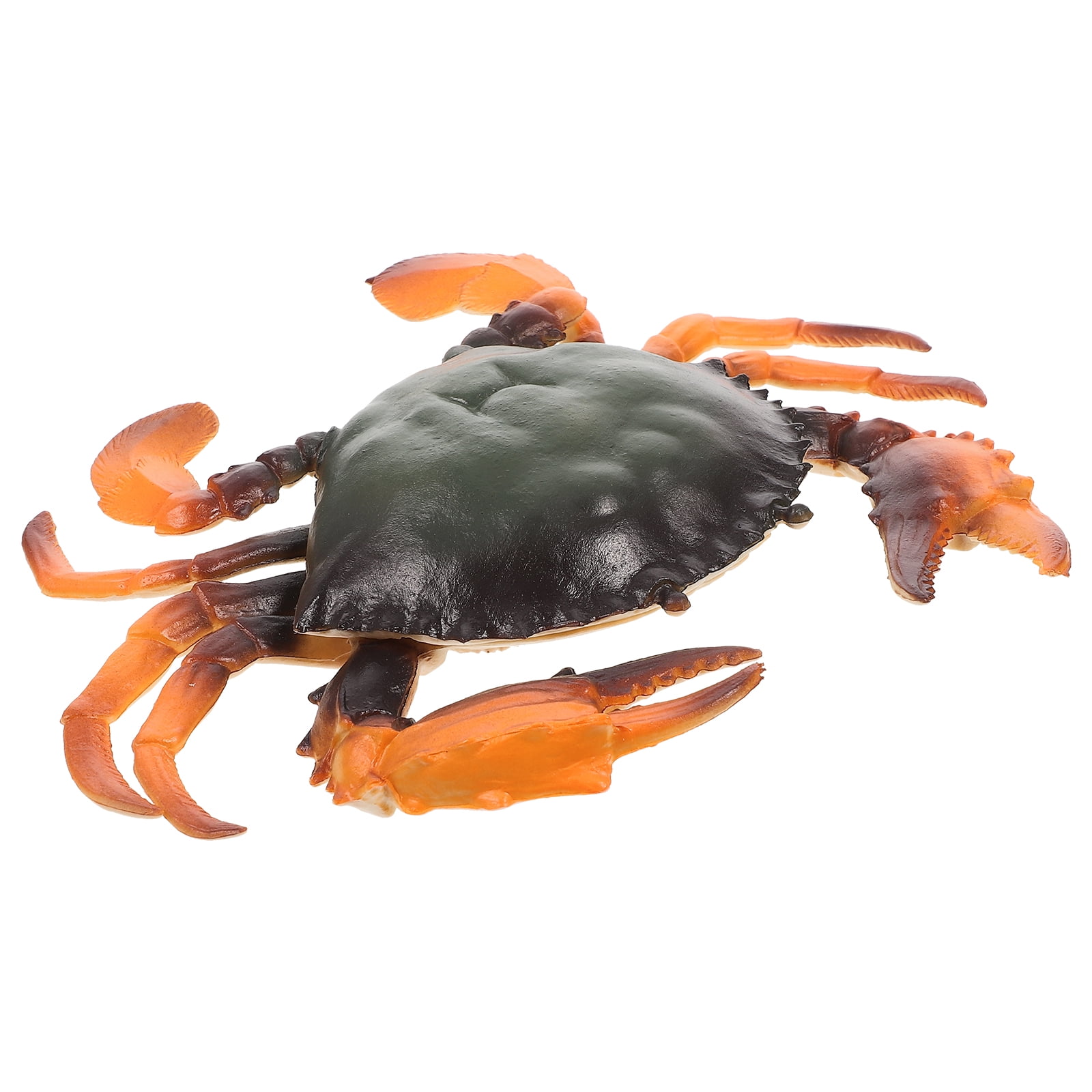 Simulation Crab Model Fun and Educational Toy Child 19X15X4CM - Walmart.com
