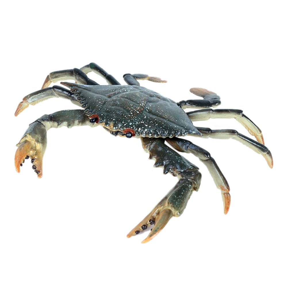 Simulation Crab Toys Models Plastic Crab Model Marine Animals Crab ...
