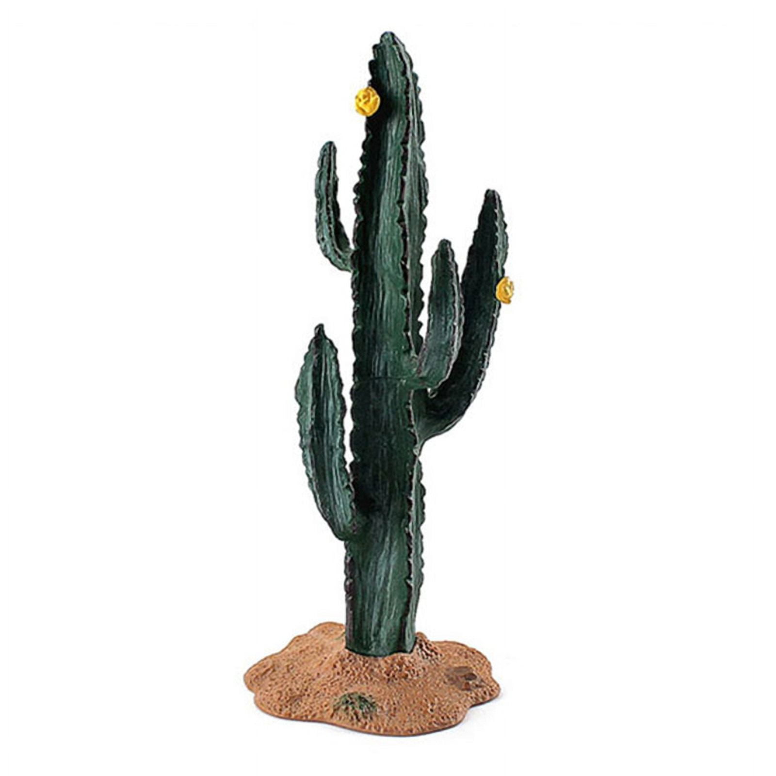 Simulation Green Plant Cactus Tree Baobab Bush Model Ornaments Tropical ...