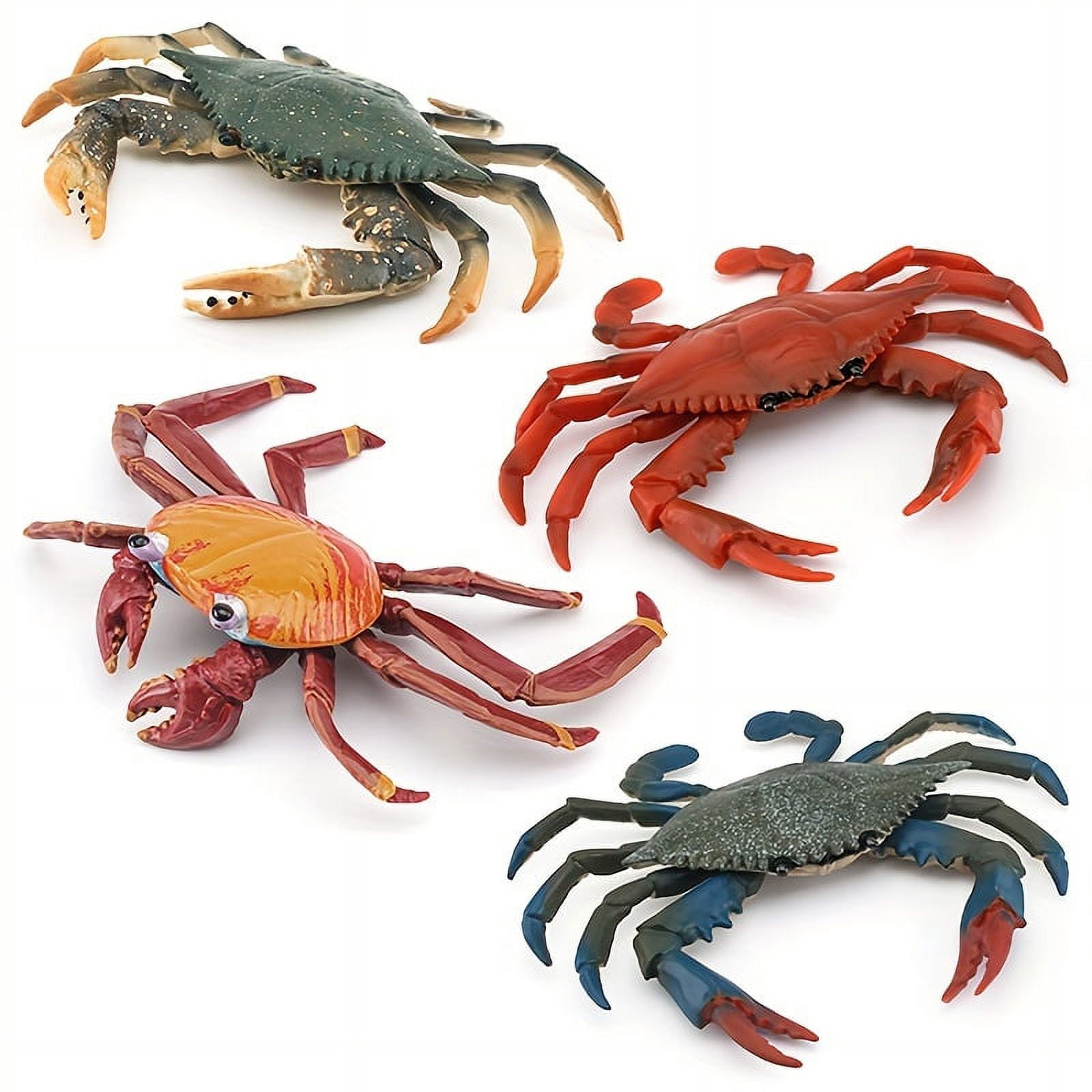 Simulation Marine Life Model, Solid Red Crab Sand Crab Animal Children ...