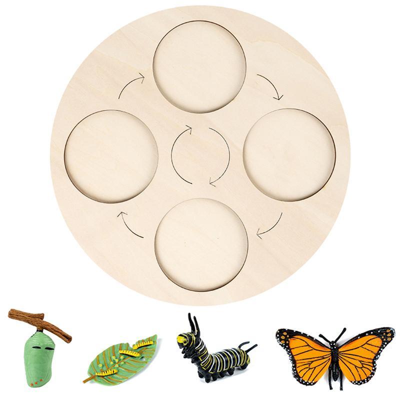 Simulation Model Mini for Butterfly Growth Cycle Ornaments - Walmart.com