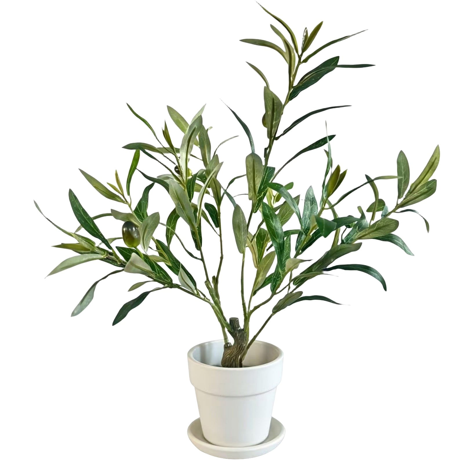 Simulation Olive Plant in White Porcelain Pot, Perfect for Home And ...