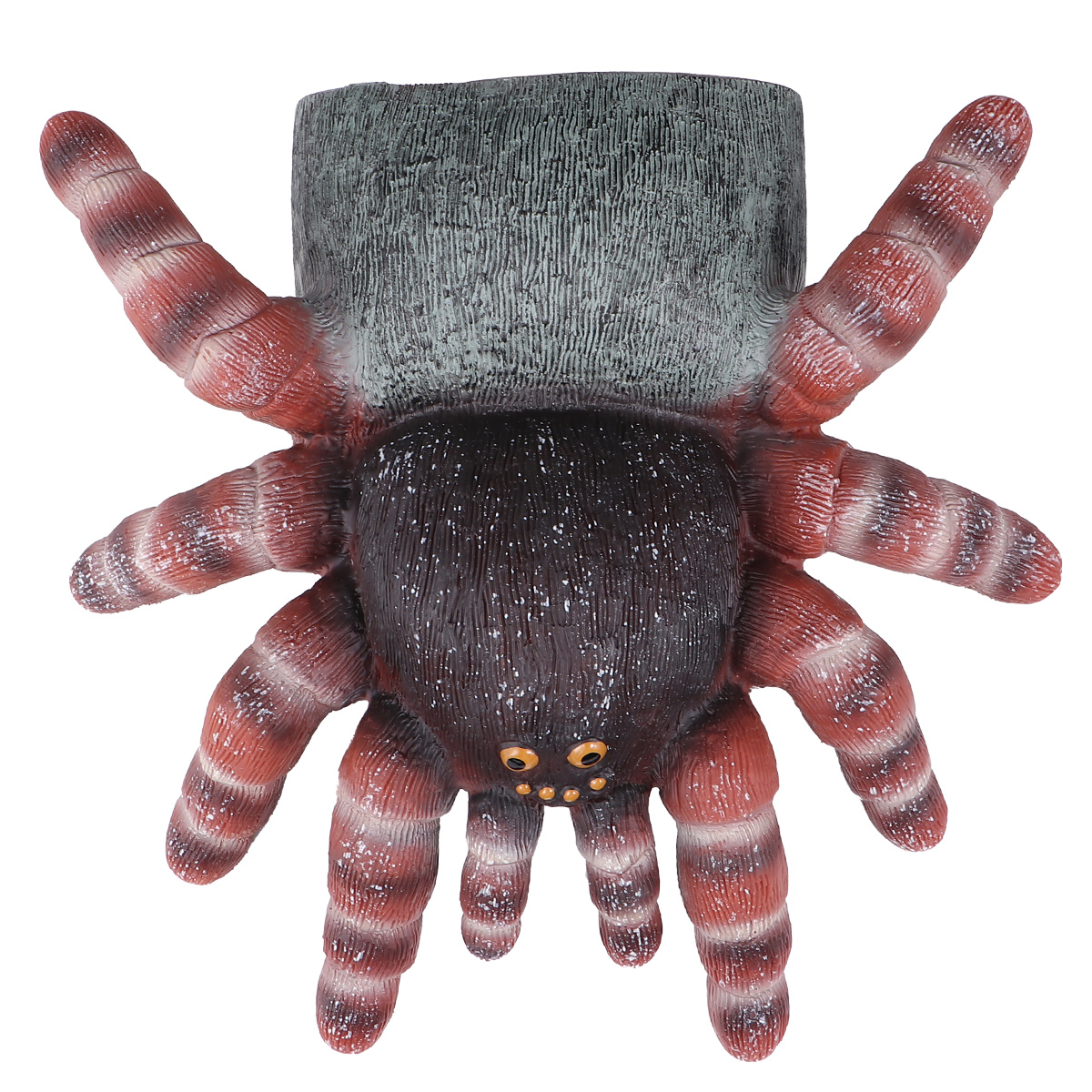 Simulation Plastic Spider Hand Puppet Vividly Animals Pretend Toy ...