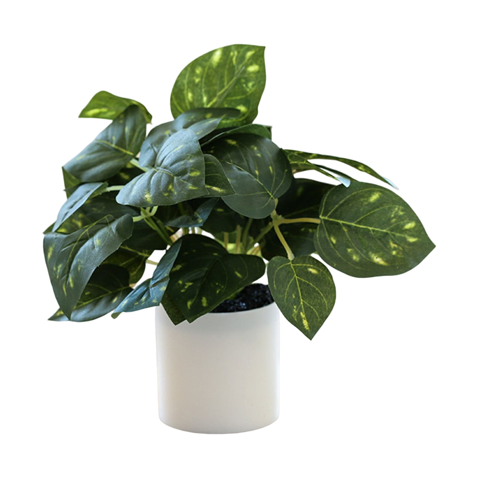 Simulation Pot Plant Realistic Looking Not Wither Geometric Shape ...