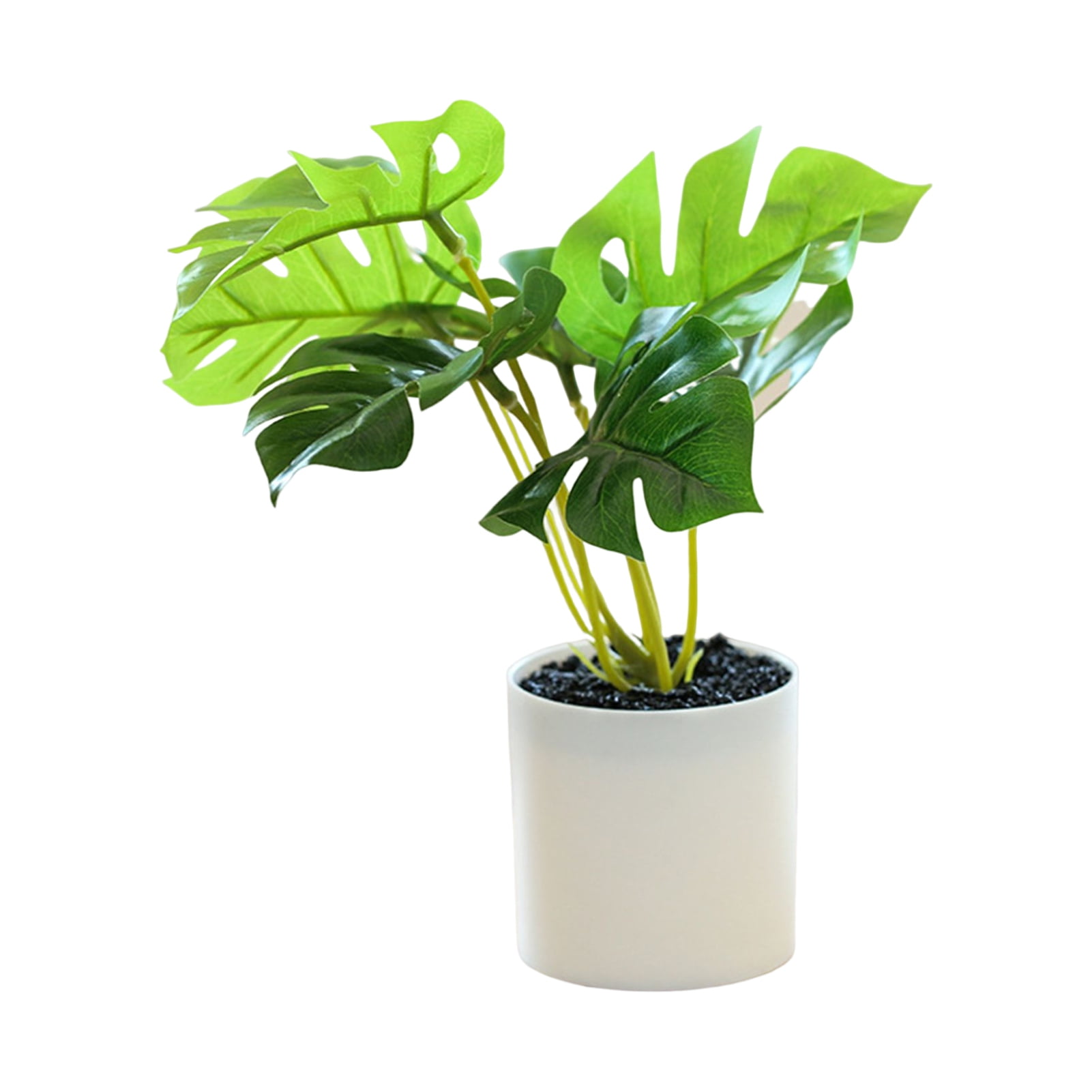 Simulation Pot Plant Realistic Looking Not Wither Geometric Shape ...