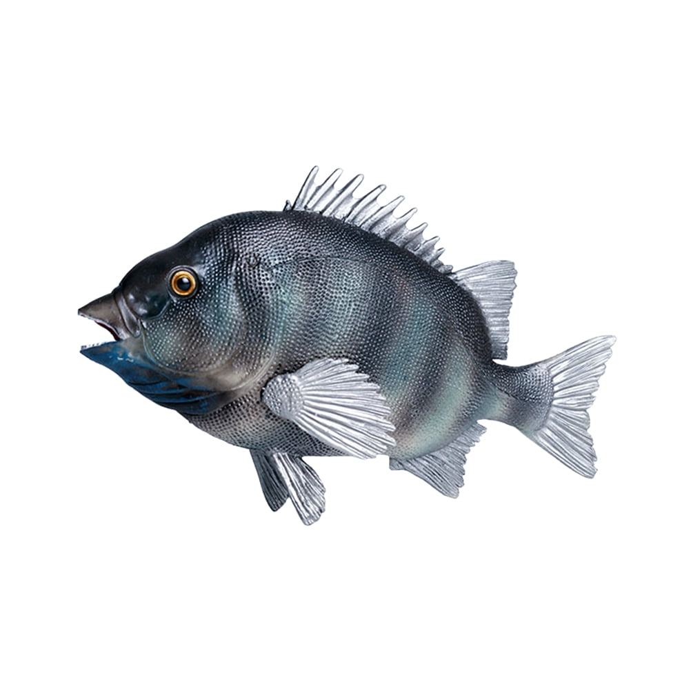 Simulation Rock Bream Fish Model Ornament Marine Animal Model Plastic ...
