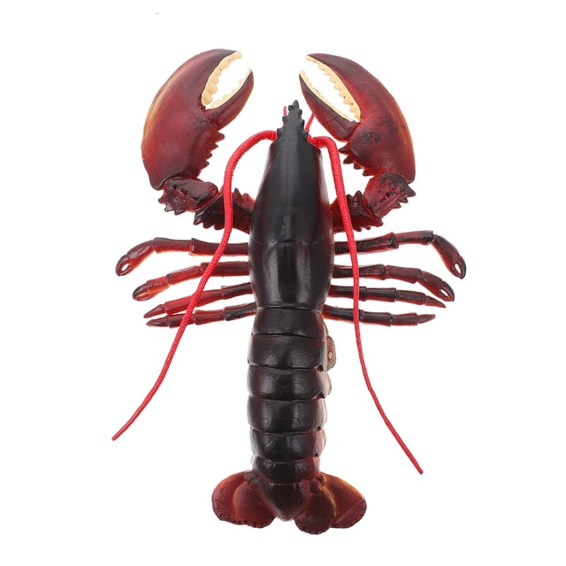 Simulation Sea Lobster Model Creative Marine Animals Model Child ...