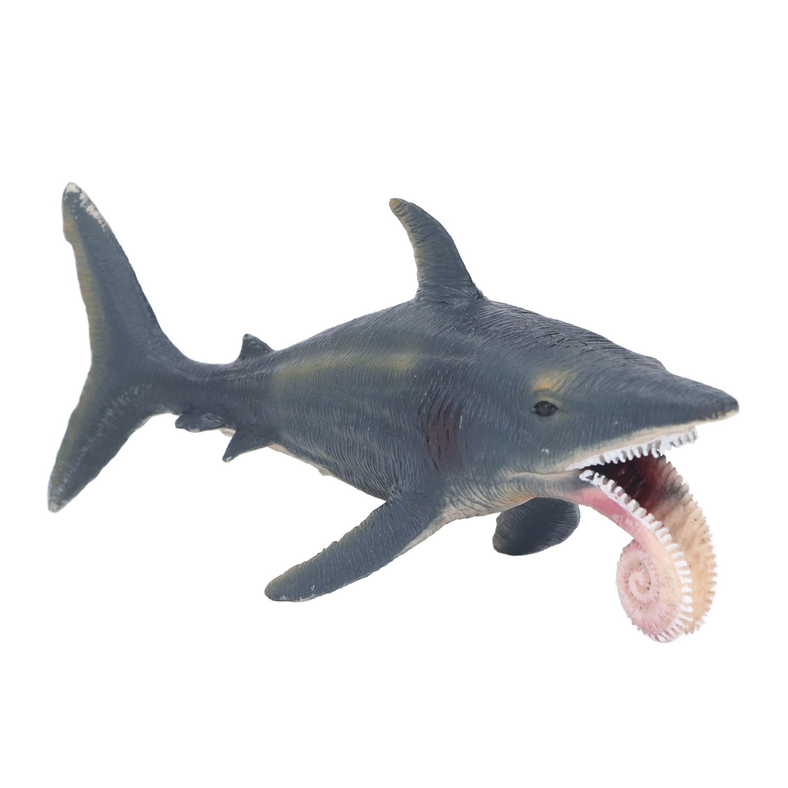 Simulation Shark Model Lifelike Vivid Educational Helicoprion Model Toy ...