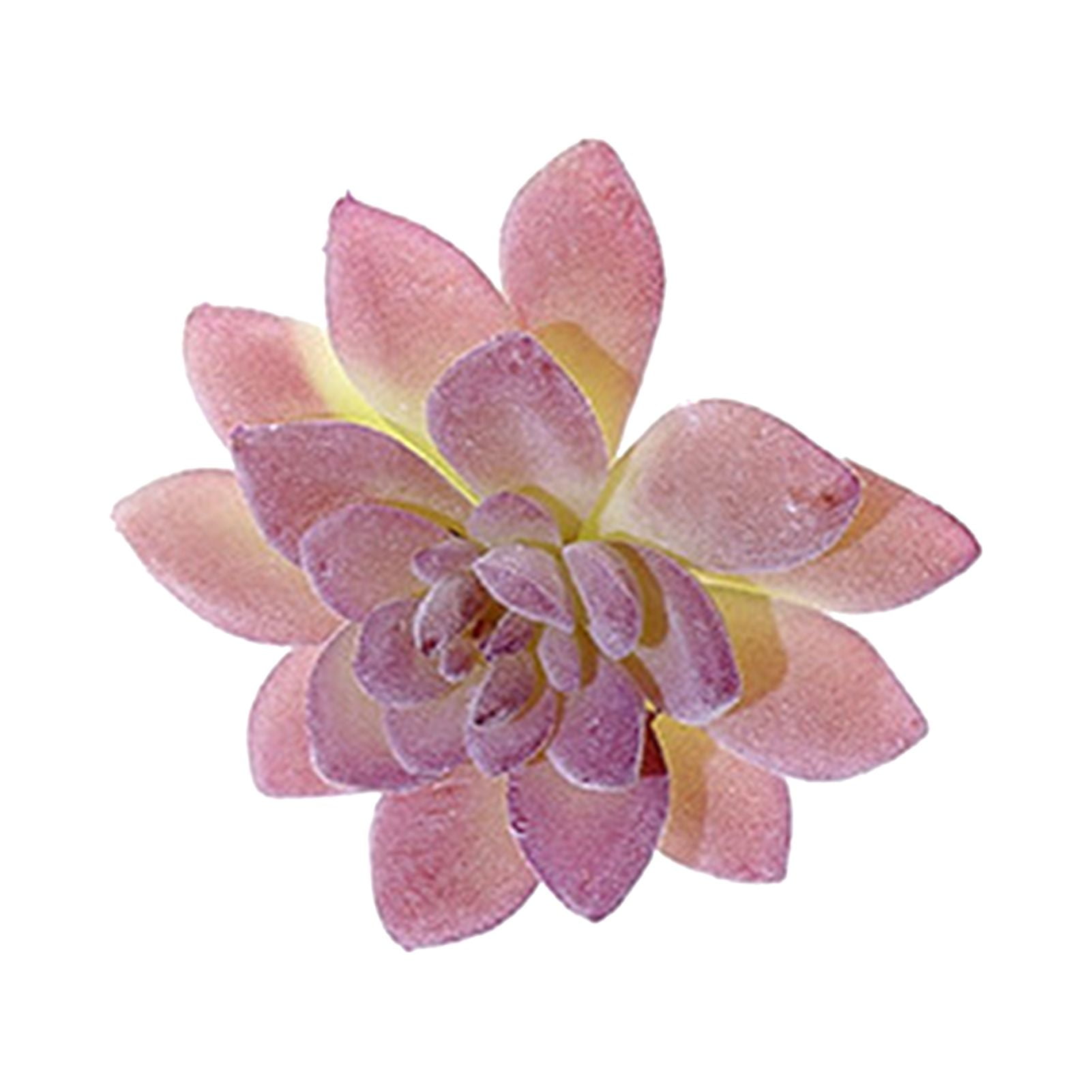 Simulation Succulents Realistic 3D Stereo Flower Arrangement Plastic ...
