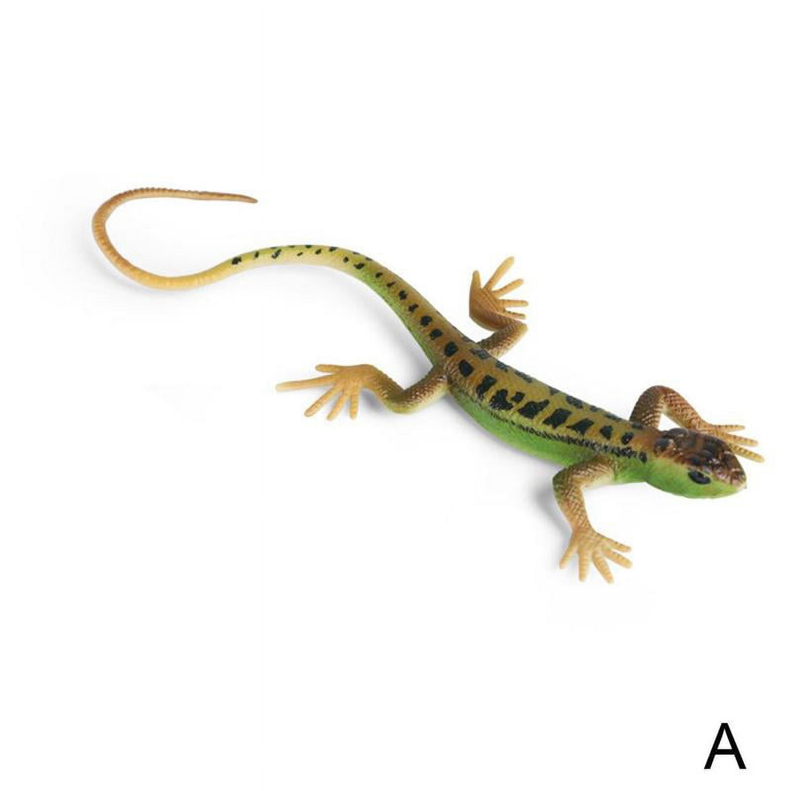 Simulation Wild Reptile Model Four-legged Snake Lizard Skink-NEW ...