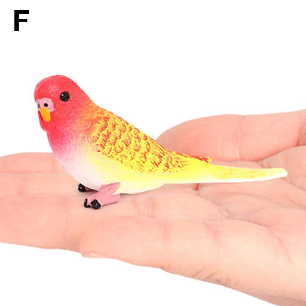 Simulation Wildlife Model Set Budgies Birds Birds Static Plastic Toys ...