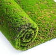 Simulation Moss Lawn Skin Planting Simulation Turf Lawn Moss Stone