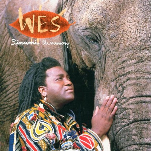 Pre-Owned Sinami (The Memory) - Walmart.com