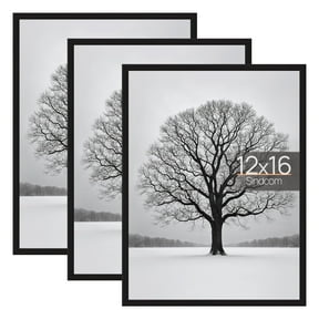 Gallery 16x11 Picture Frame Black 16x11 Frame 16 x 11 Poster Frames 16 ...