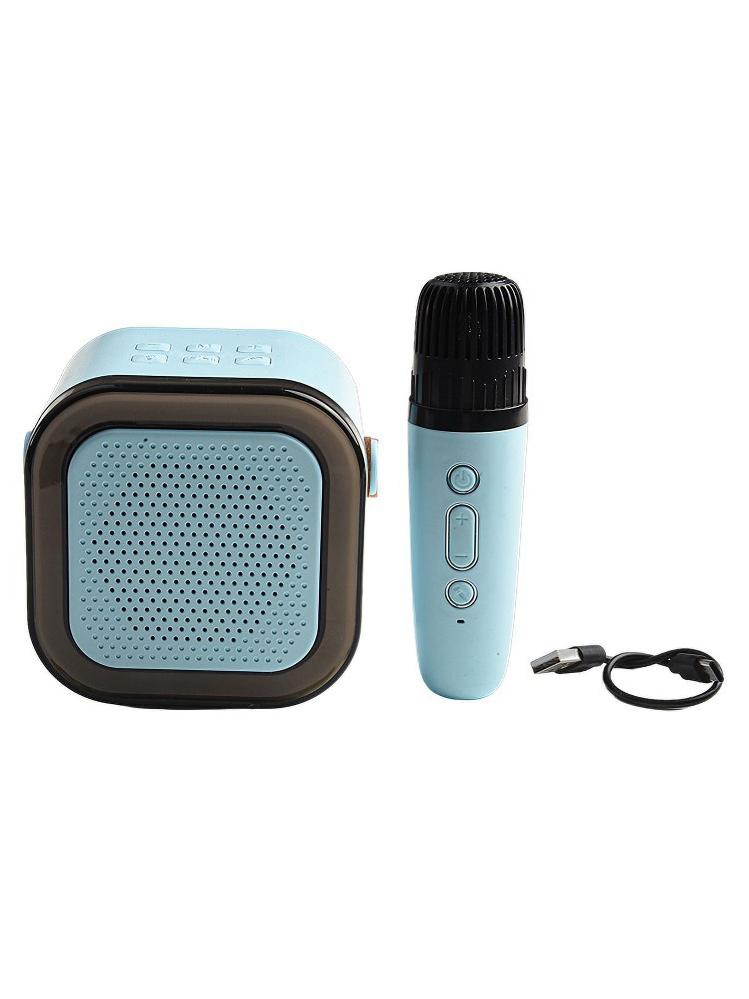 Sing And Perform Freely Wireless Microphones In Portable K12 Karaoke ...