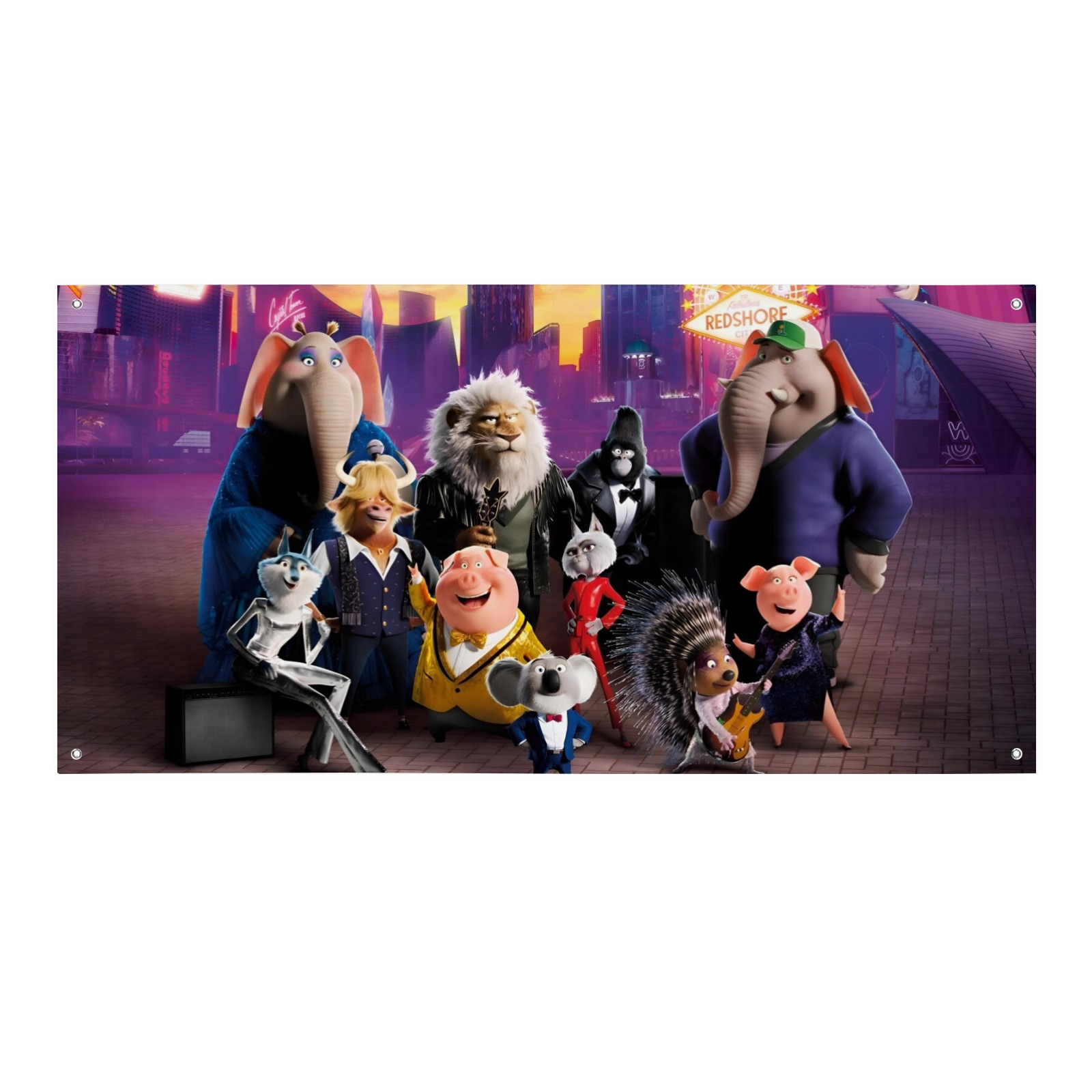 Sing Movie 3-Theme Backdrops Banner Birthday Party Decor Supplies ...