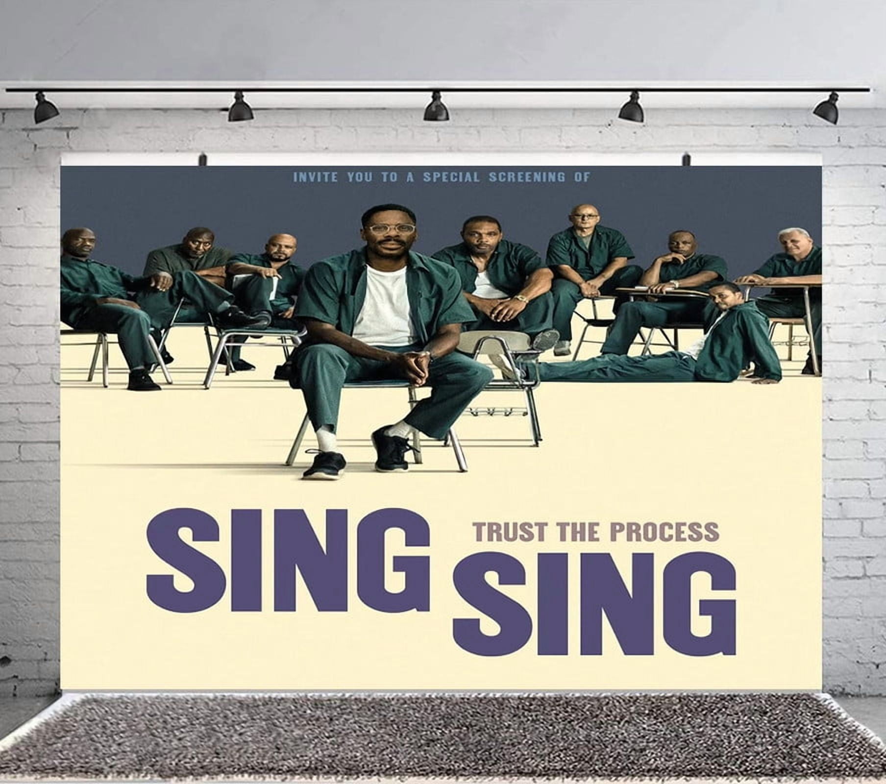 Sing Sing Backdrop Banner Party Supplies Poster Movie Theme Background ...