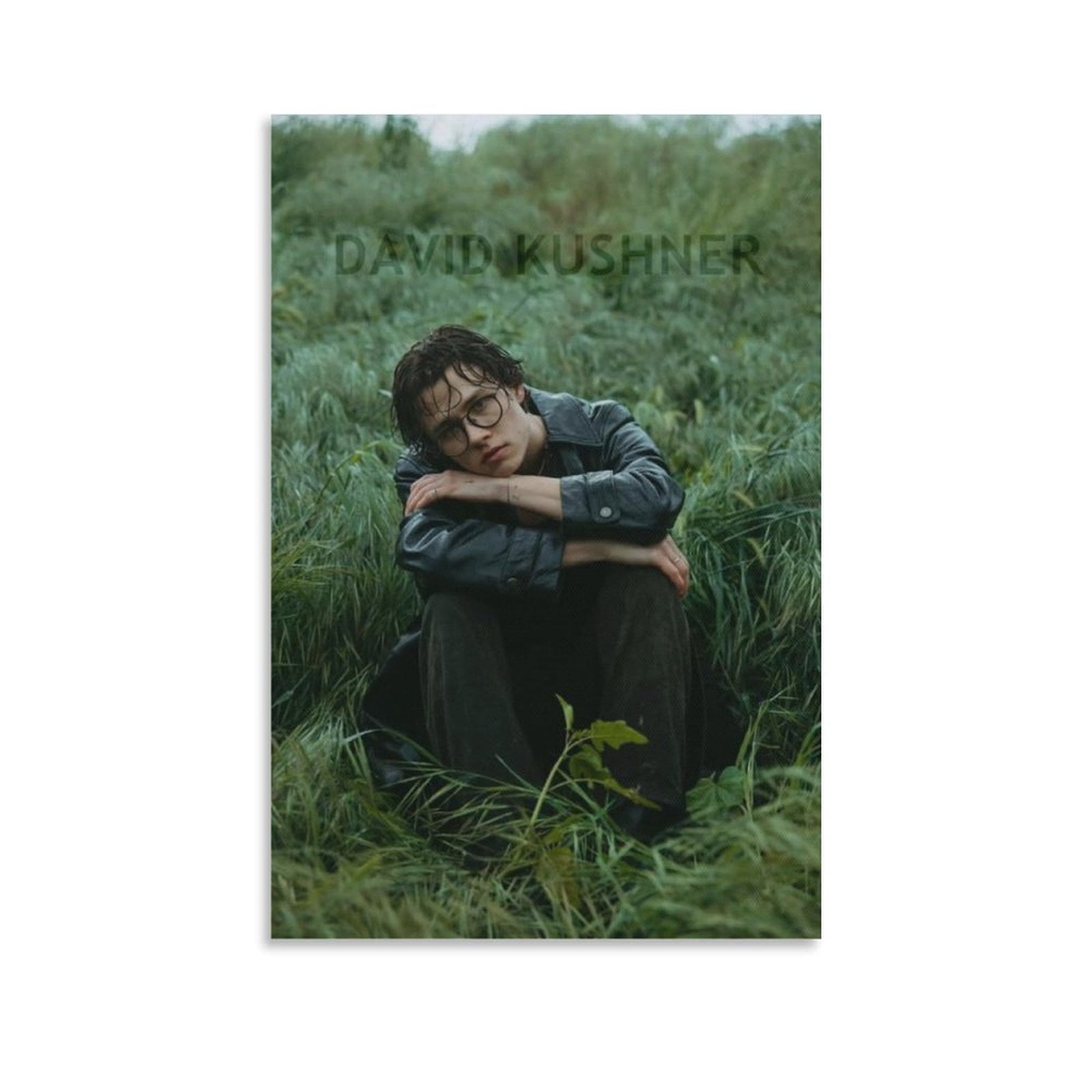 Singer David Kushner Poster Posters Art Print Wall Photo Paint Poster ...
