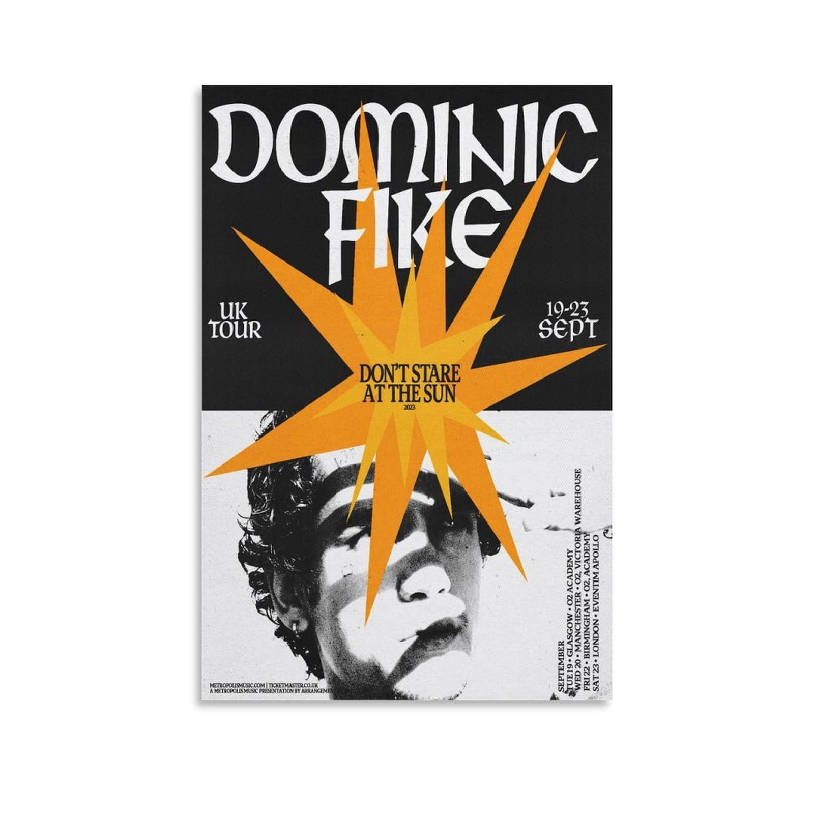 Singer Dominic Fike Poster 6 Room Aesthetic Poster Print Art Wall ...