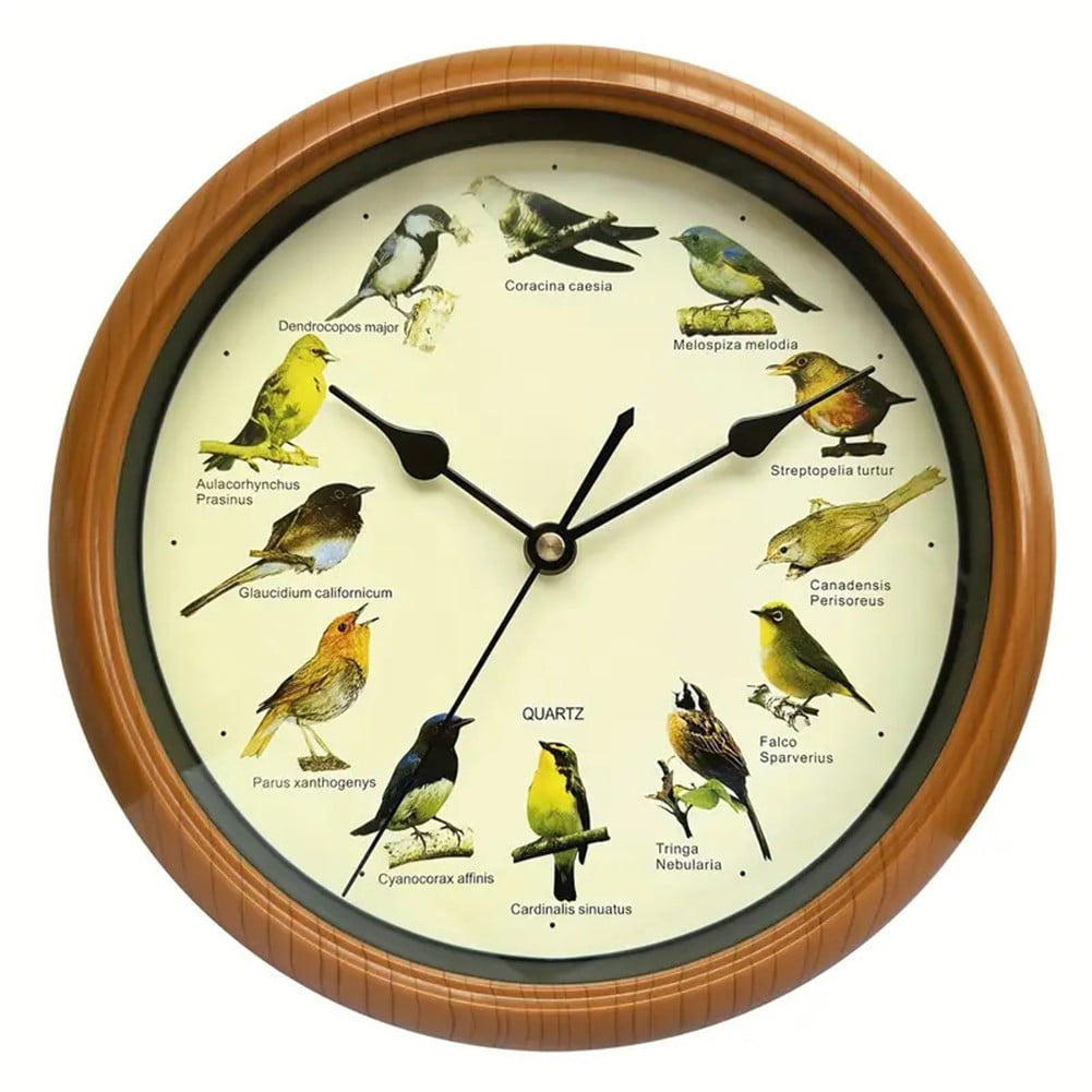 Singing Bird Wall Clock 13 Inch Of The Bird Names And Songs Bird ...