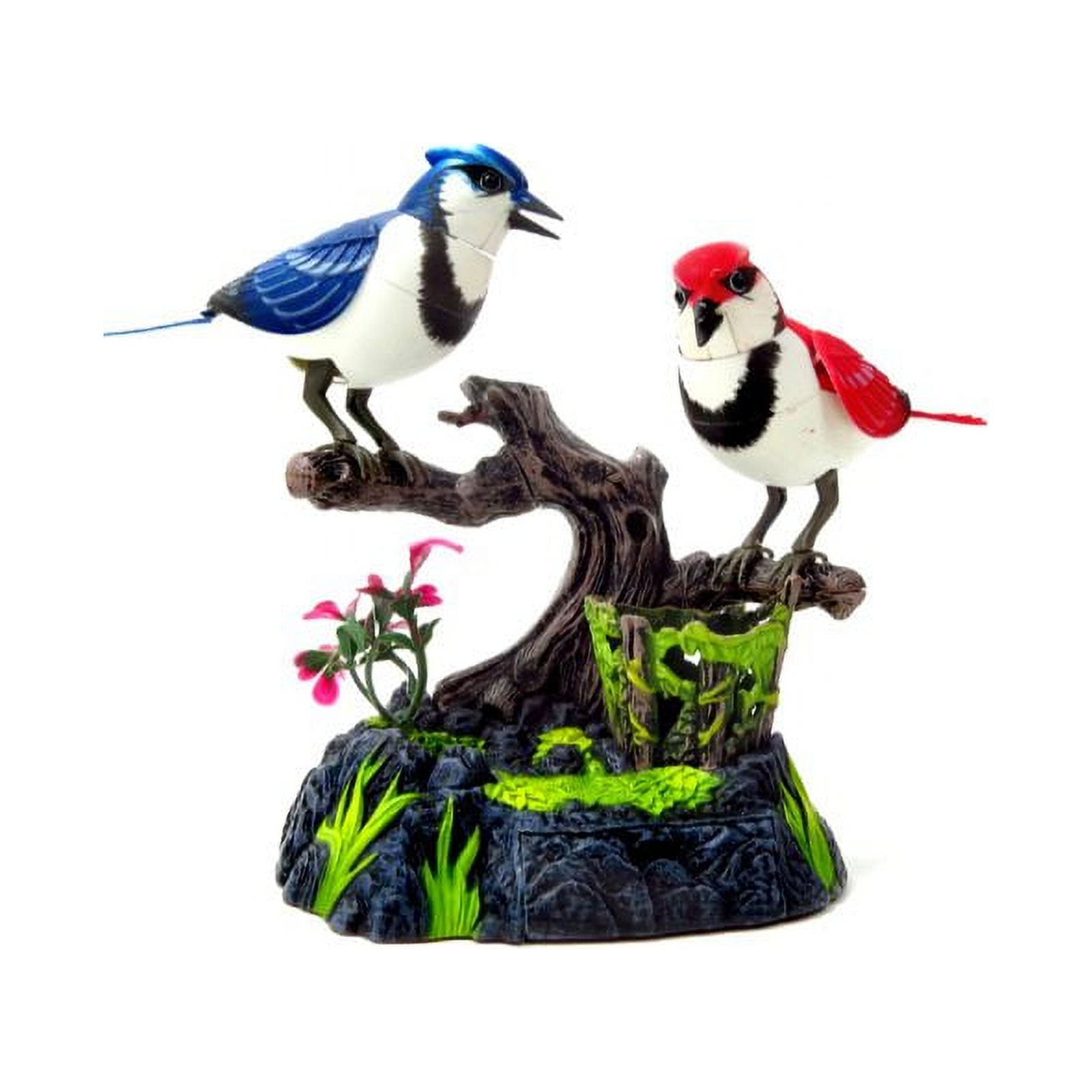 Singing & Chirping Birds - Realistic Sounds And Movements (Blue Jays ...