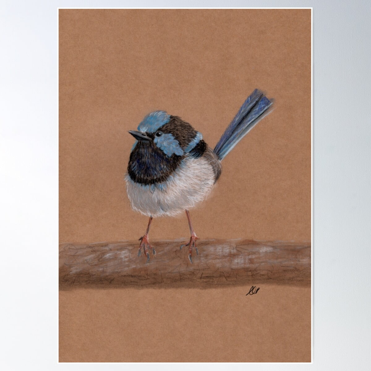 Single Blue Fairy Wren Poster Wall Art, Modern Wall Decor For Living ...