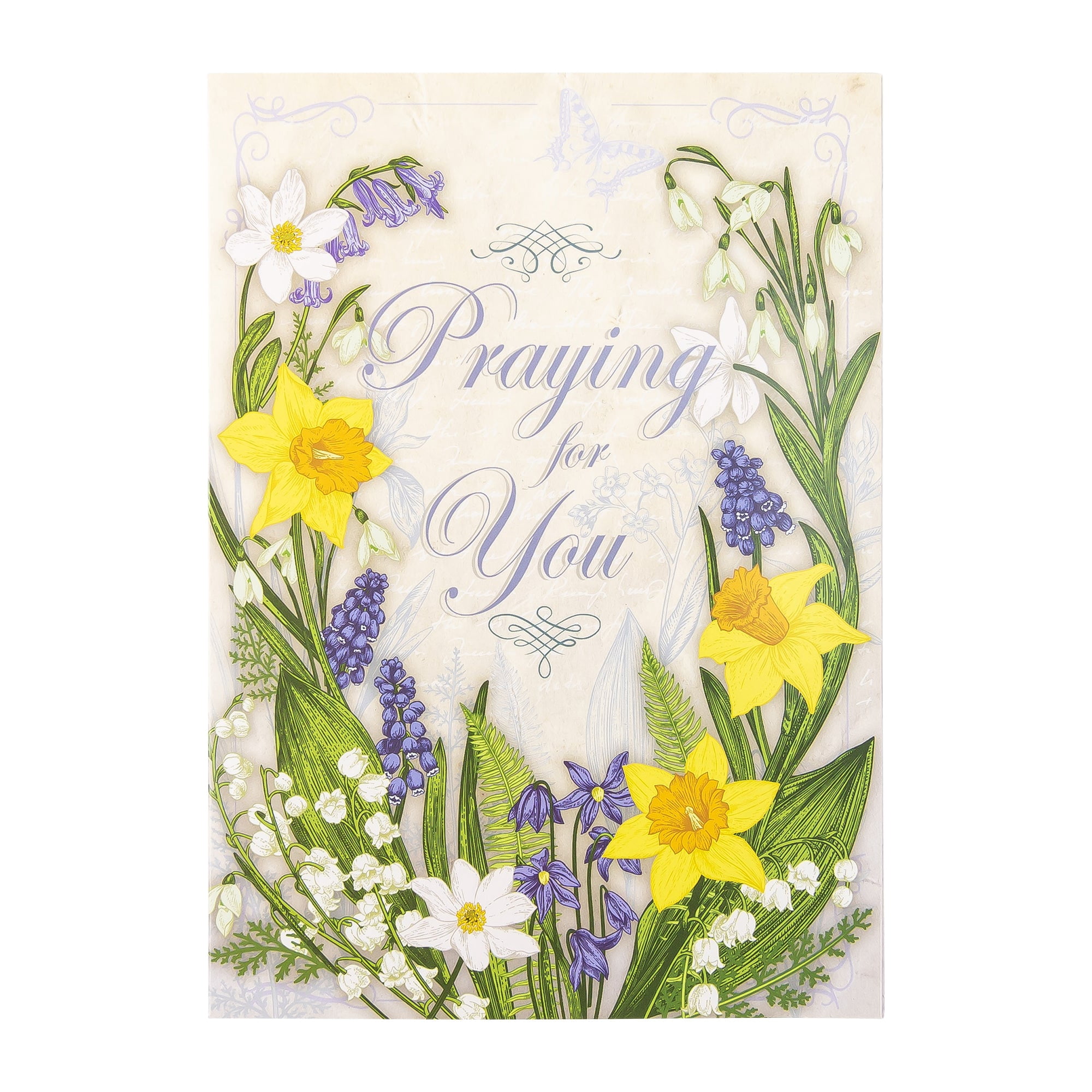Single Cards - Praying for You - May God Colossians 1:3 (6 pk ...