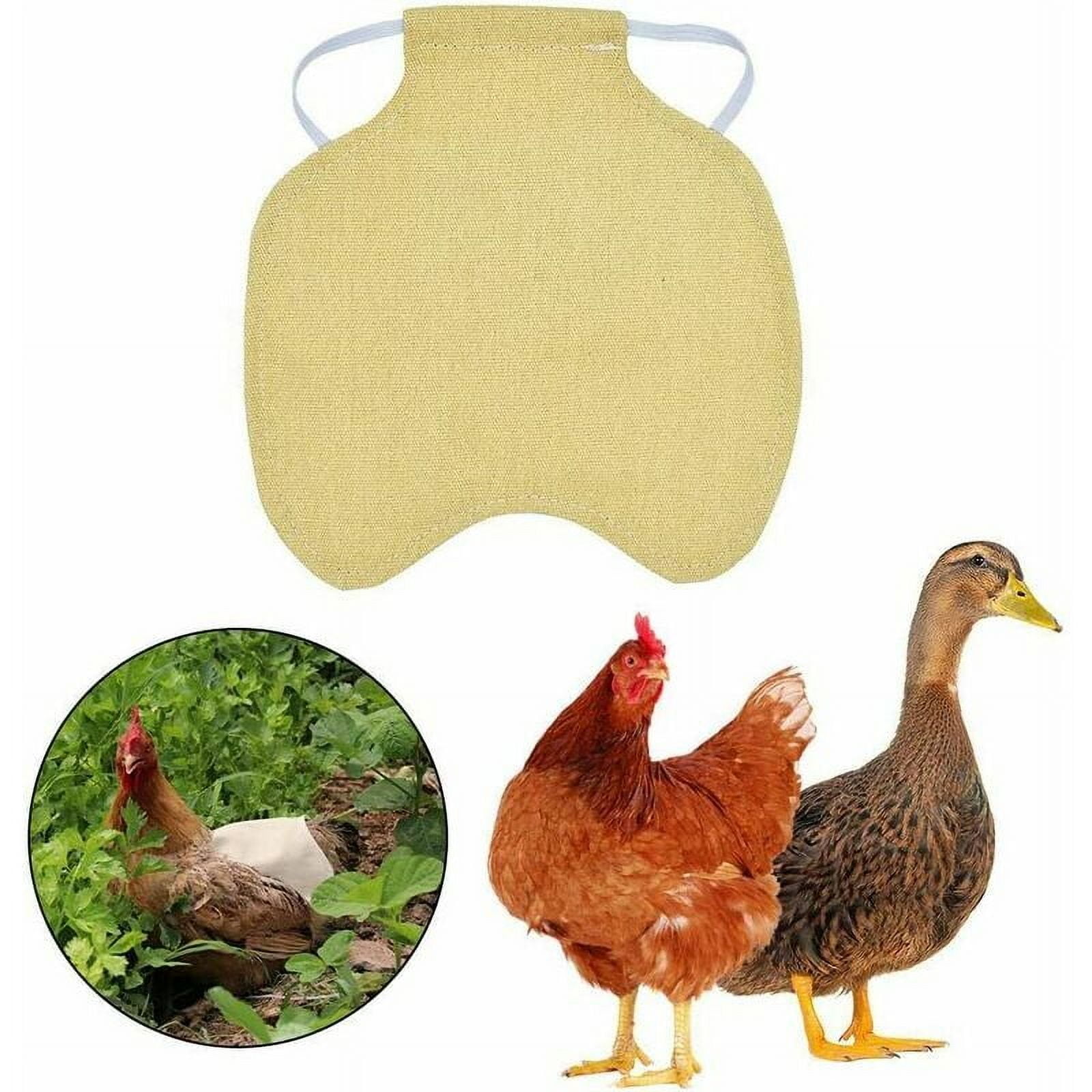 Single Chicken Strap Chicken Apron / Saddle Vest Duck Wing Protection ...