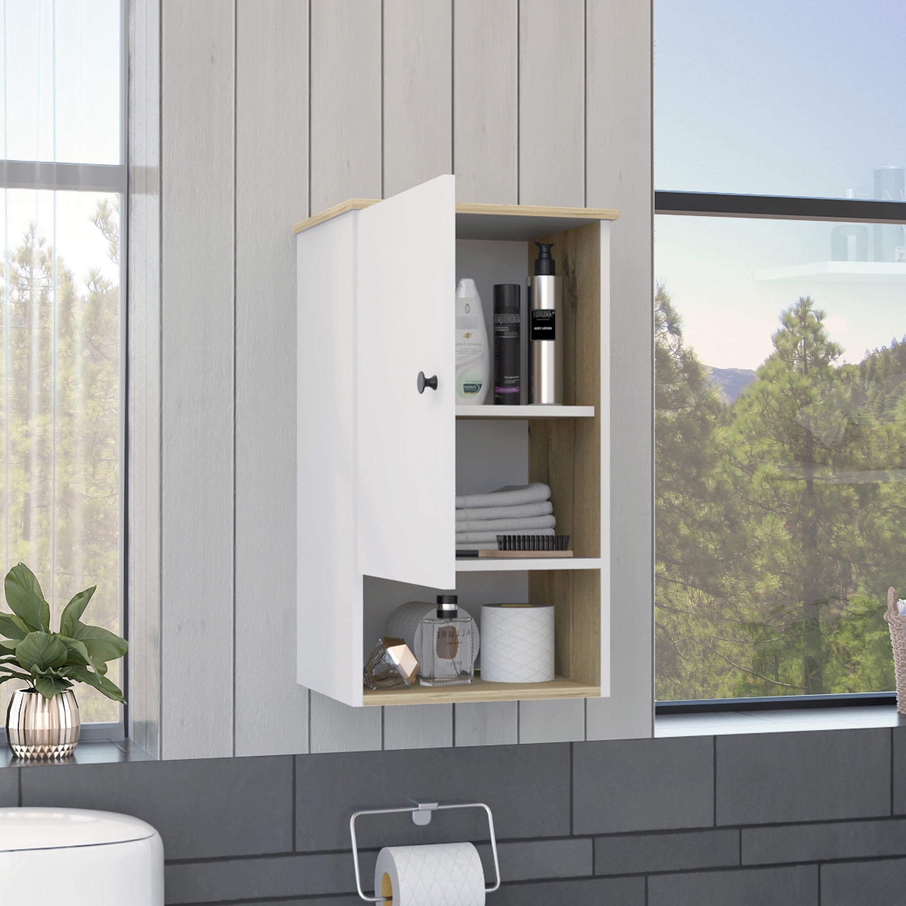 Single Door Cabinet for Medicine Storage at Home | Keep Drugs Neat on ...